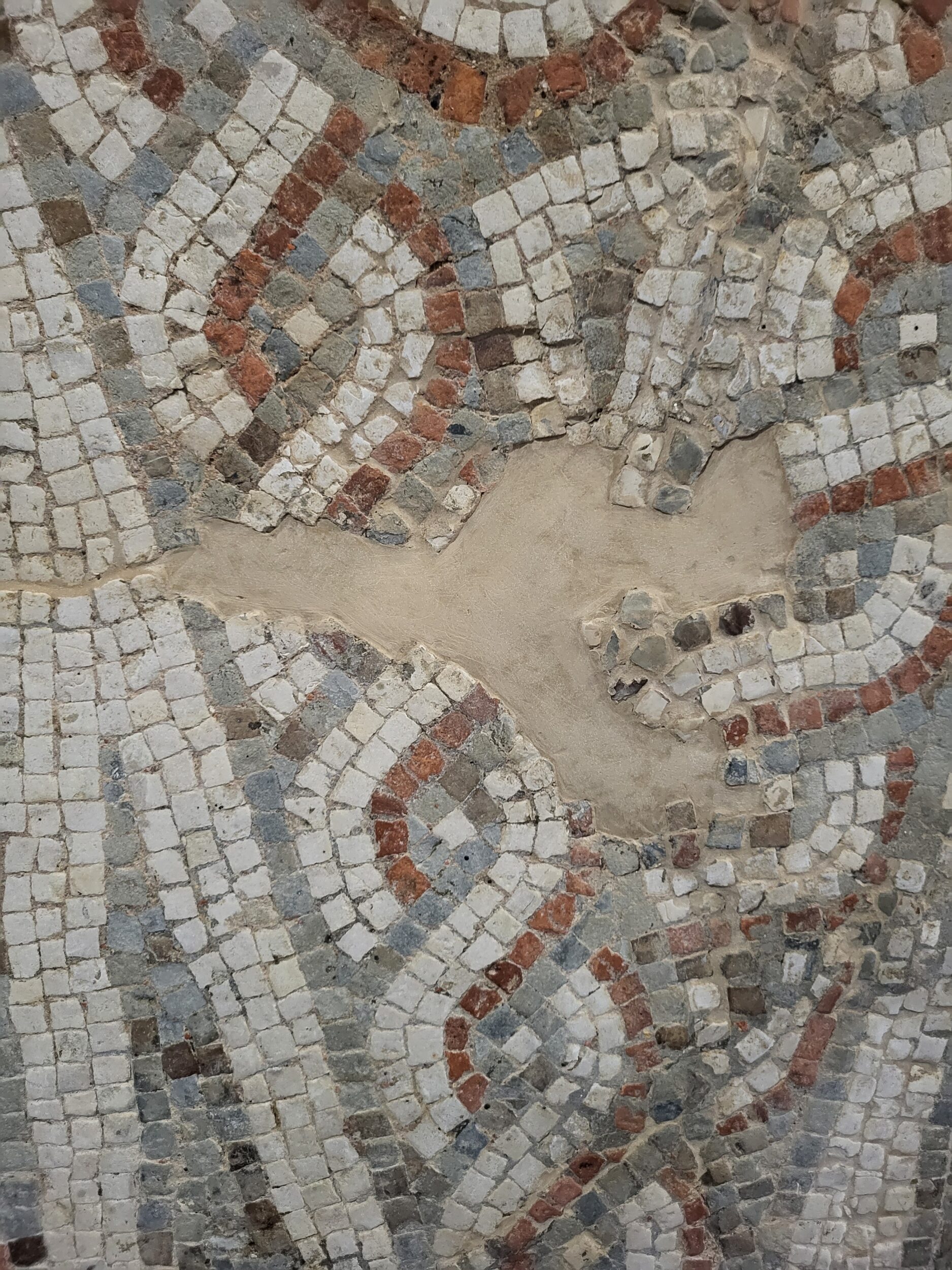 Roman Mosaic Floor Fragment from Borough Hill – Daventry Museum